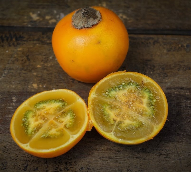 Rare Exotic Quito Orange Naranjilla Lulo Fruit Solanum Quitoense - 1 ...
