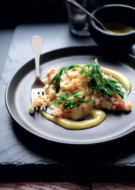 Rare! Annual Sea-Blite Seepweed Suaeda maritima - 30 Seeds