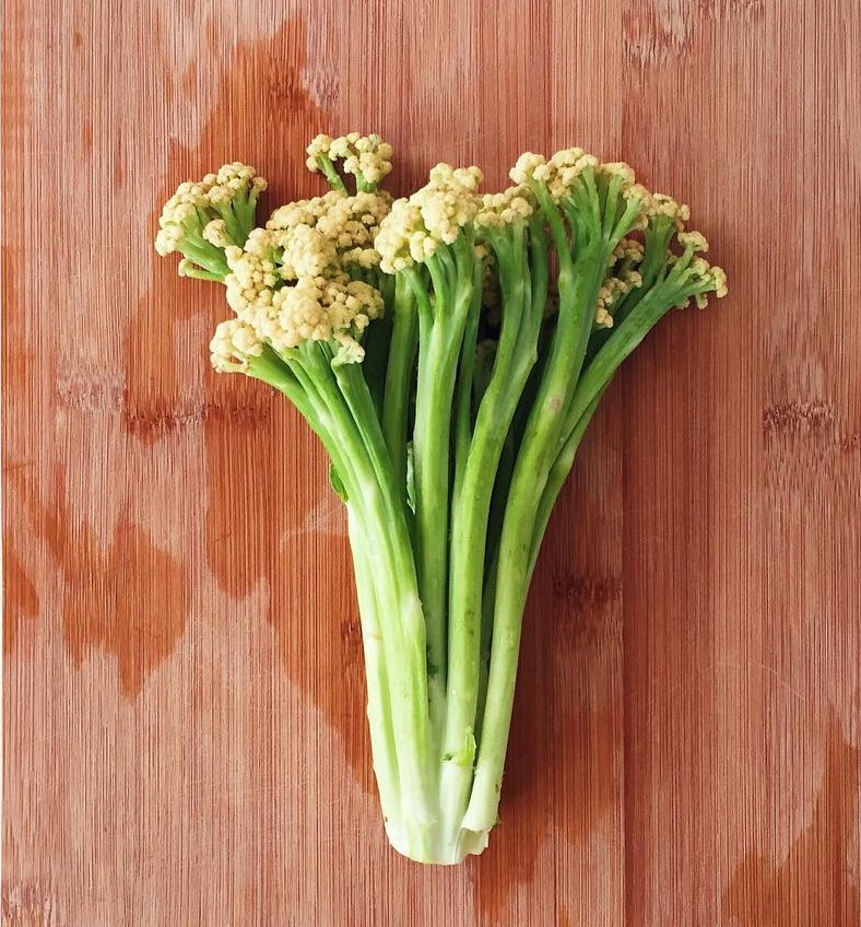 New! Japanese Karifurore Sweet Sprouting Stick Cauliflower Brassica ...