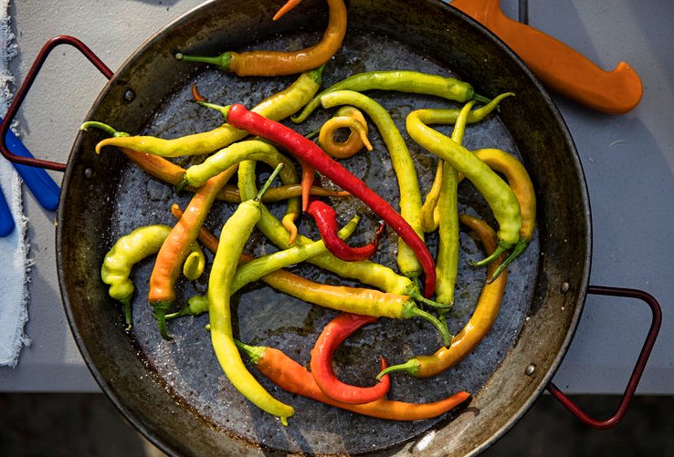 Sweet Turkish Heirloom Corbaci Pepper Capsicum annuum - 10 Seeds