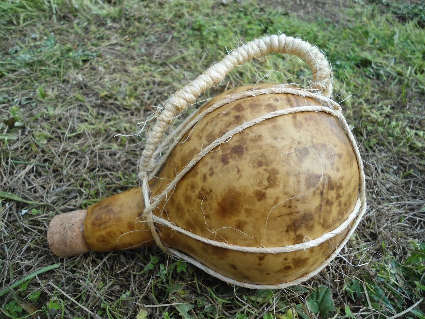 Heirloom Long Handle Dipper Gourd Lagenaria siceraria - 8 Seeds