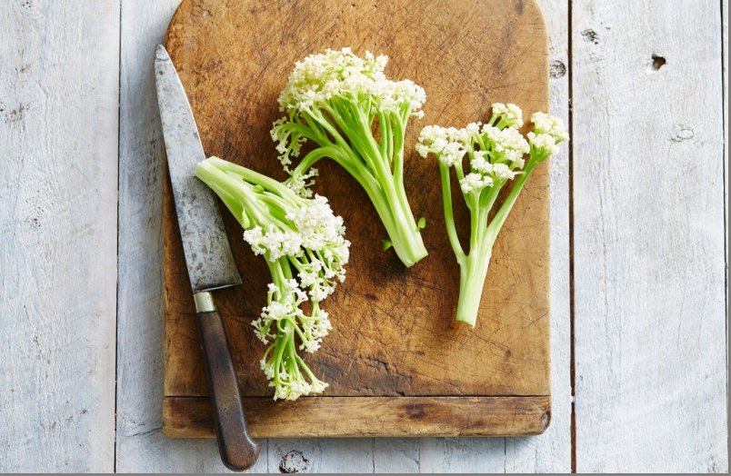 New! Karifurore Sweet Sprouting Stick Cauliflower Brassica oleracea ...