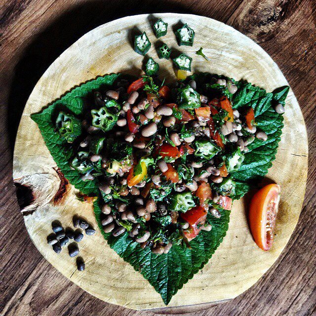 Organic Heirloom Urad Black Gram Phaseolus Vigna mungo - 50 Seeds