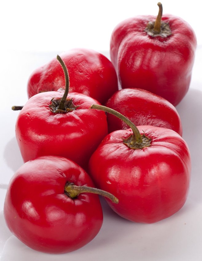 HOT! Red Rocoto Peruvian Tree Pepper Manzano Capsicum pubescens - 10 Seeds