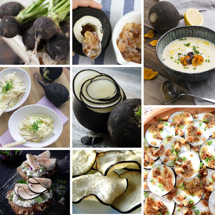 Black Radish Heirloom Raphanus sativus niger - 80 Seeds