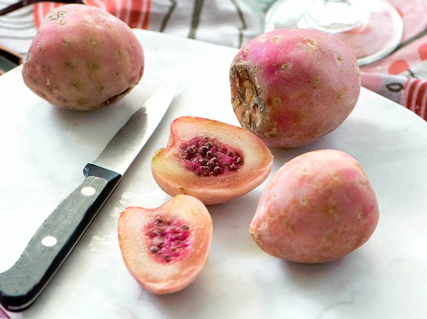 Mexican Xoconostle Cactus Opuntia matudae - 20 Seeds