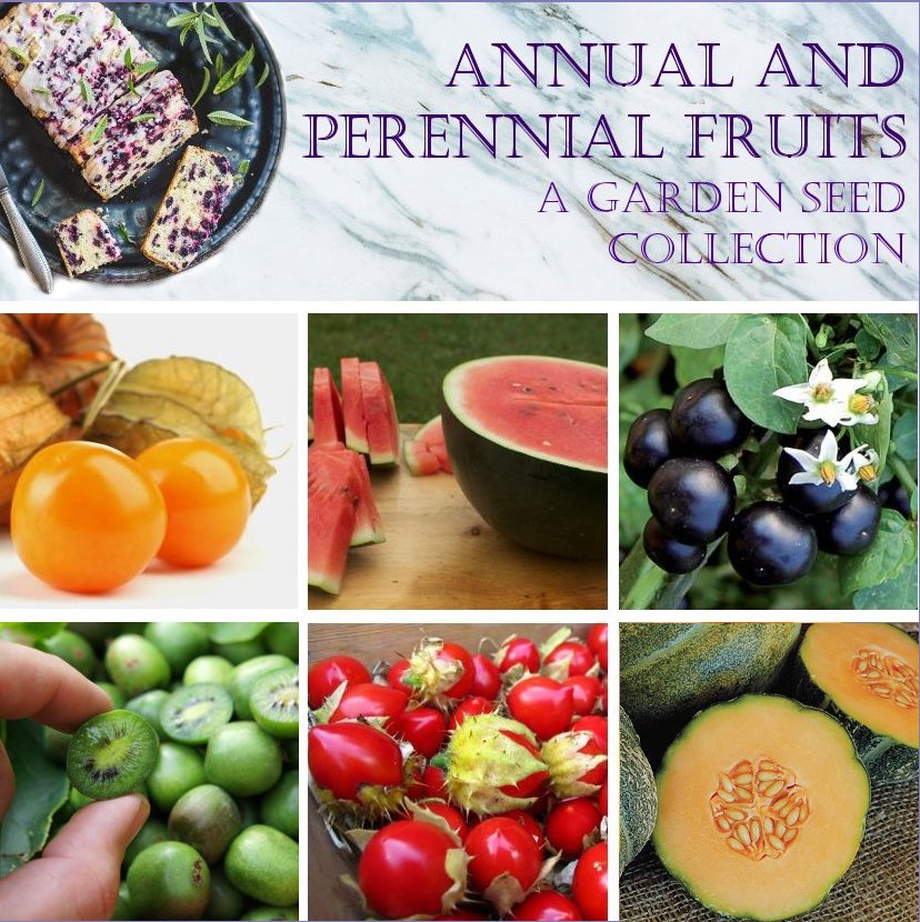 Organic Annual and Perennial Fruits Garden Seed Collection - 6 Varieties