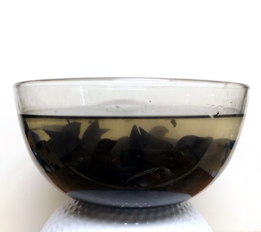 Rare! Fresh Edible Dragon Horn Ling Nut Water Caltrop Trapa bicornis ...