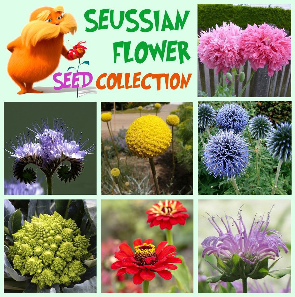 Whimsical Seussian Inspired Flower Seed Collection - 7 Varieties