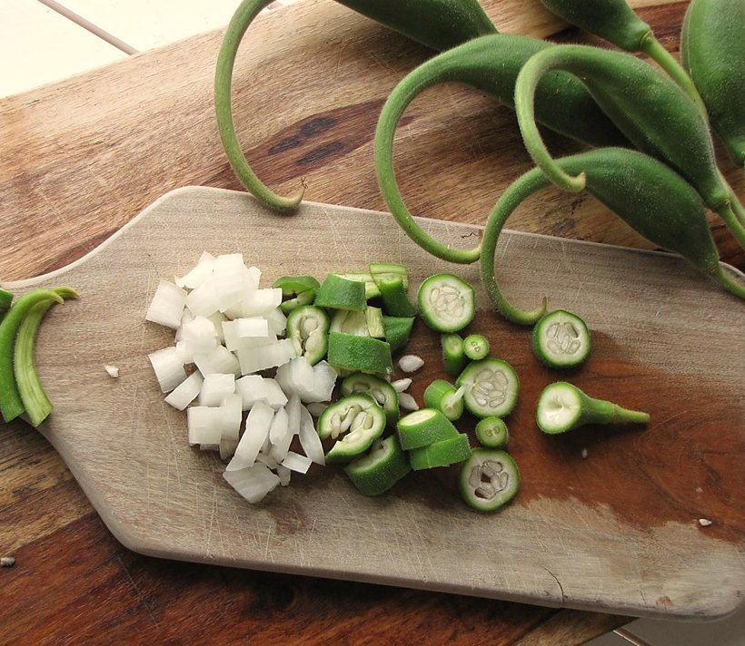 Wild Unicorn Plant Devils Claw Proboscidea parviflora - 10 Seeds