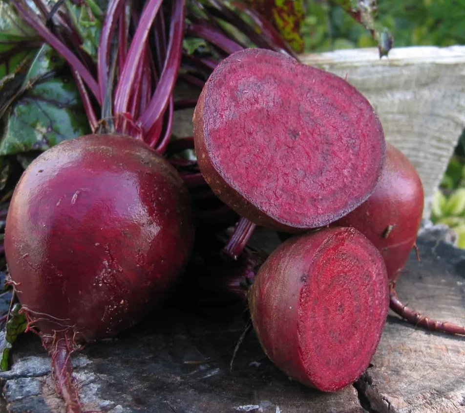 Detroit Dark Red Heirloom Beet Beta vulgaris - 150 Seeds