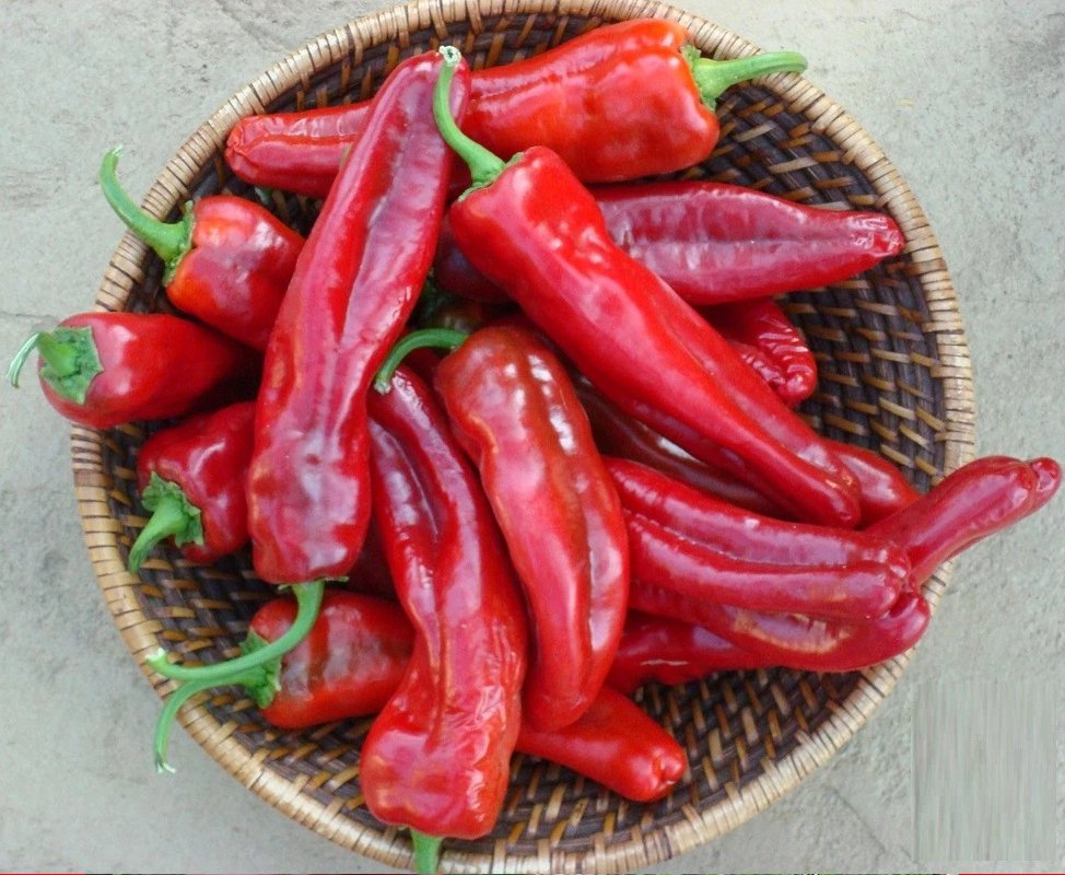 Giant Marconi Sweet Pepper Capsicum annuum - 30 Seeds