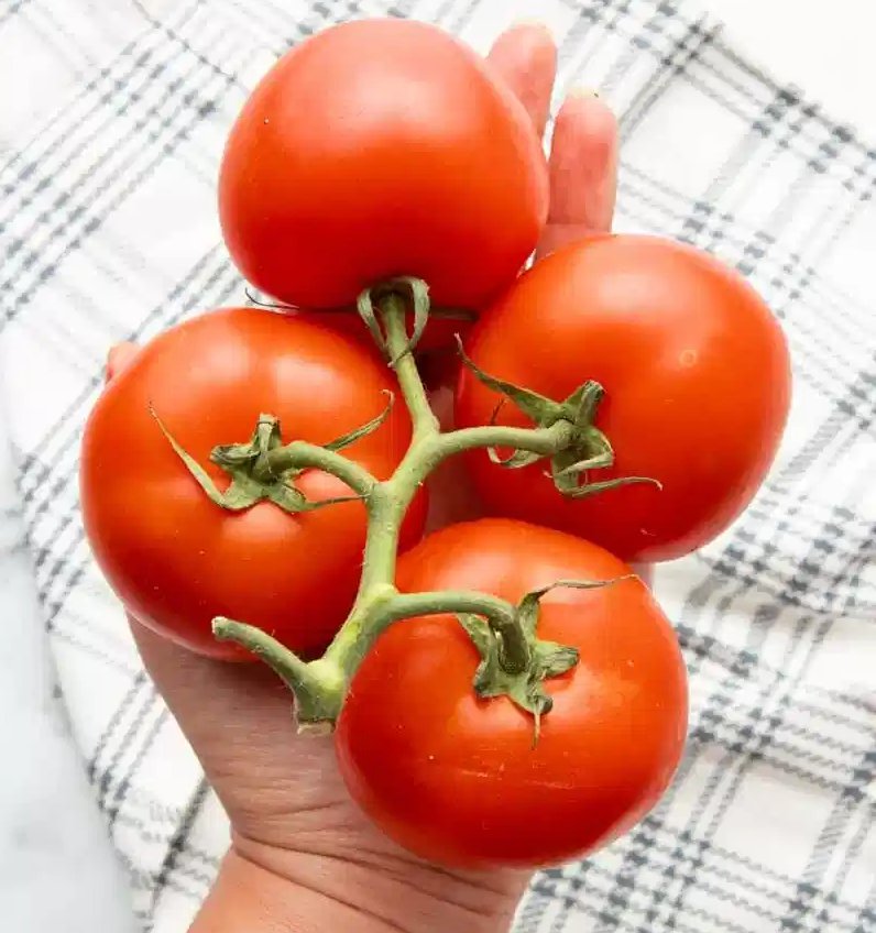 Organic Heirloom Tomato Marglobe Solanum Lycopersicum - 30 Seeds