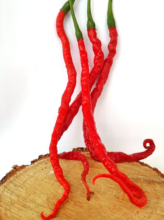 Turkish Heirloom Sweet Corbaci Pepper Capsicum annuum - 10 Seeds