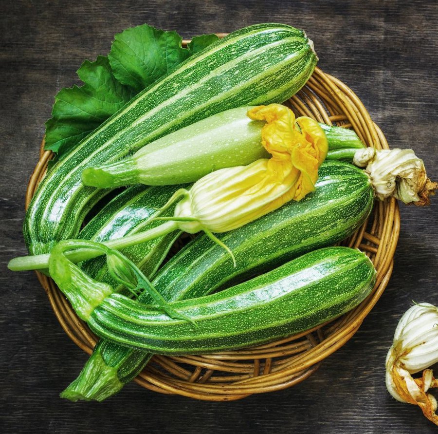 Italian Heirloom Zucchini Cocozelle di Tripolis Organic Summer Squash ...