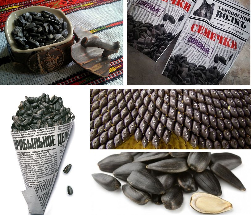 True Russian Semechki Black Oil Sunflower Helianthus annuus - 80 Seed