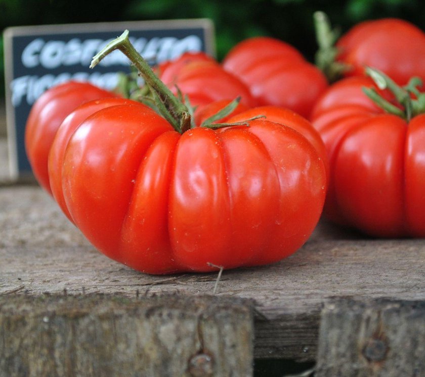 Italian Heirloom Tomato Costoluto Fiorentino Lycopersicon lycopersicum ...