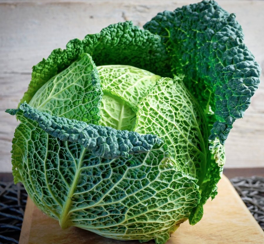 Heirloom Wirsing Cabbage Sweet Savoy Brassica oleracea - 150 Seeds