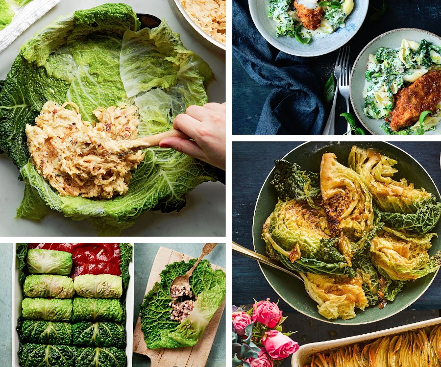 Heirloom Wirsing Cabbage Sweet Savoy Brassica oleracea - 150 Seeds