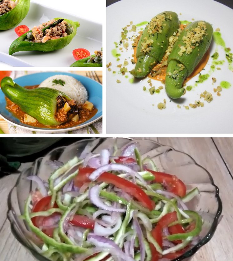 Achocha Peruvian Caigua Slipper Gourd Cyclanthera pedata - 10 Seeds