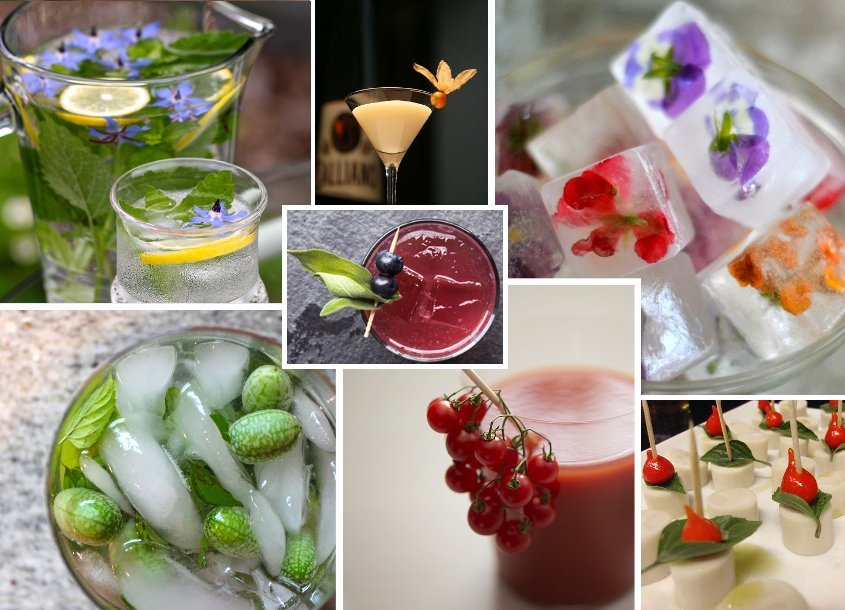 Colorful Organic Appetizer and Cocktail Garden Seed Collection - 6 ...