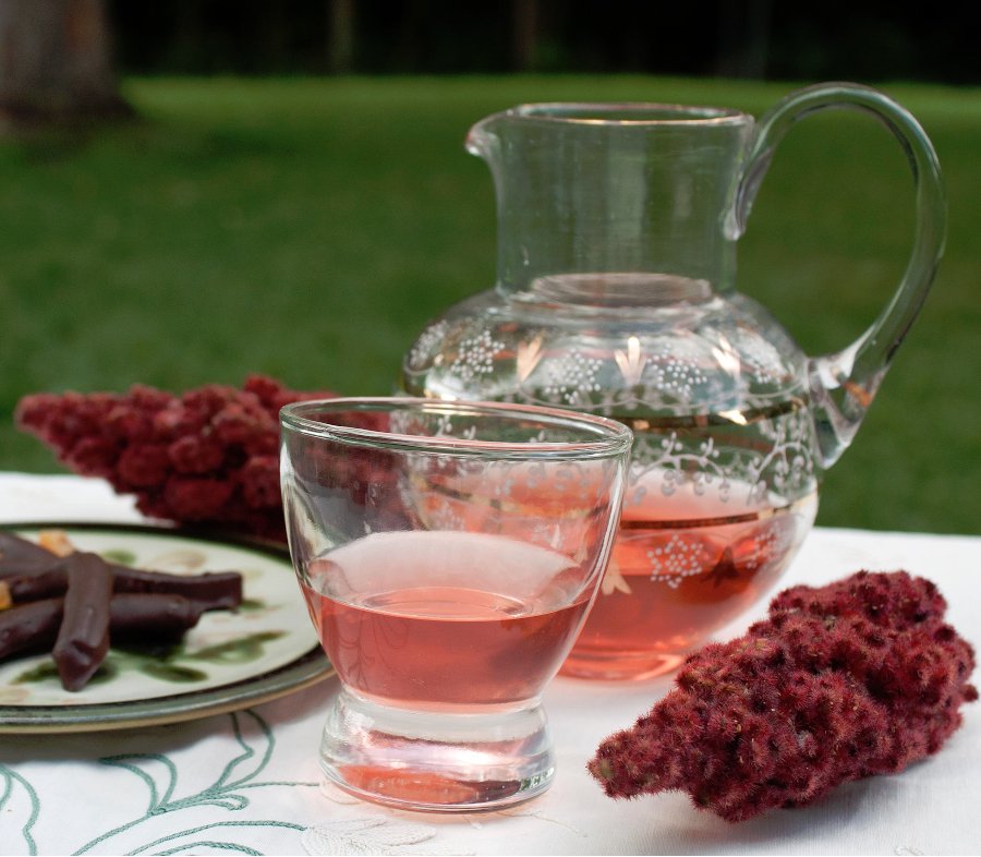 European Lemonade Tree Staghorn Sumac Rhus typhina hirta - 15 Seeds