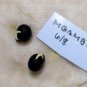 Rare Mgambo Black Pearl Tree Majidea Zanguebarica - 5 Seeds