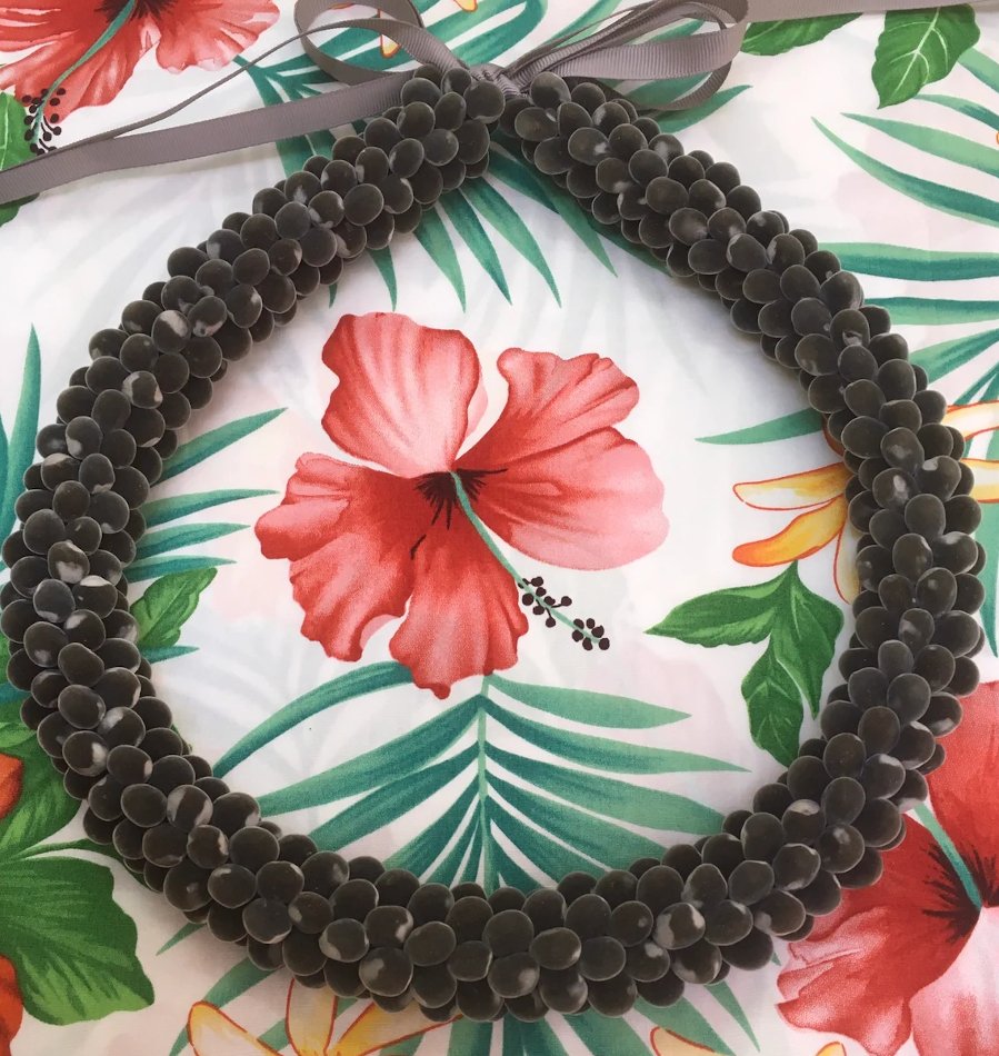 Hawaiian Mgambo Black Pearl Tree Majidea Zanguebarica - 5 Seeds