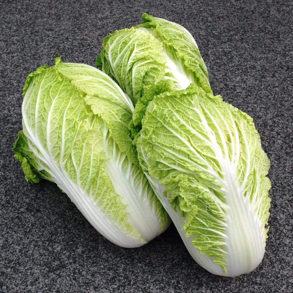 Napa Cabbage Tender Sweet Brassica rapa parachinensis - 150 Seeds
