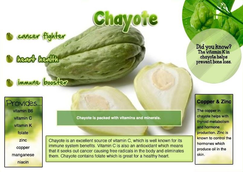 Exotic Fresh Organic Chayote Mirliton Pear Squash Sechium edule - 6 ...