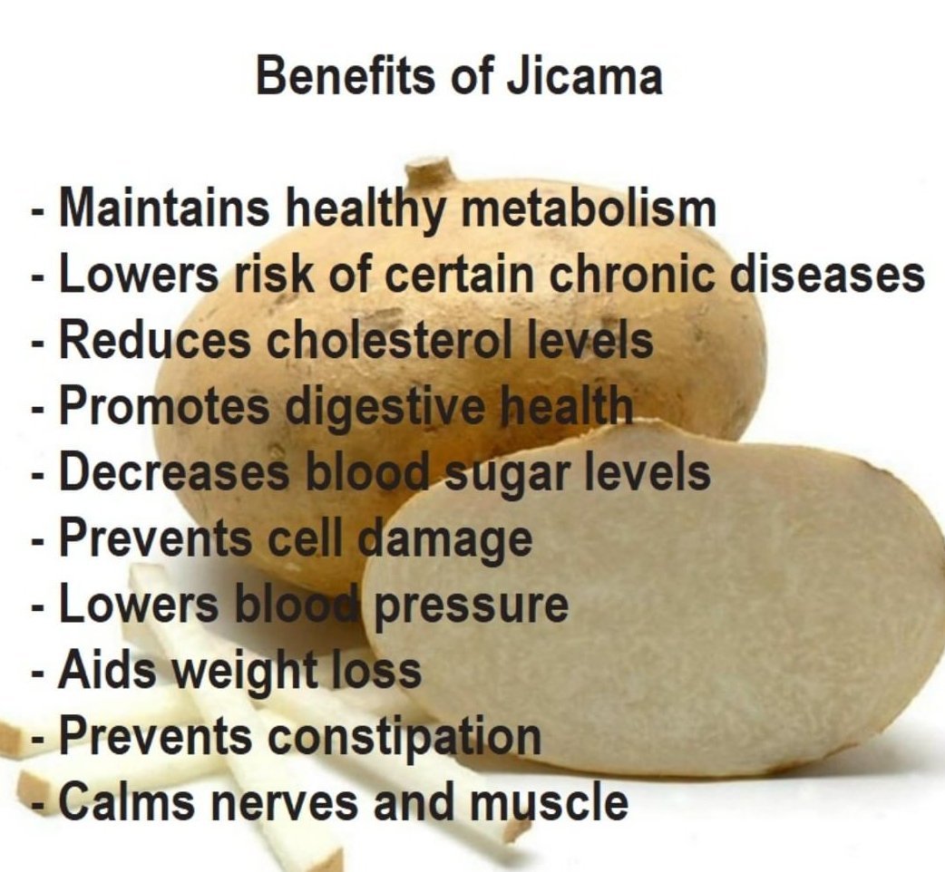 Organic Mexican Jicama Yam Bean Pachyrhizus Erosus - 30 Seeds