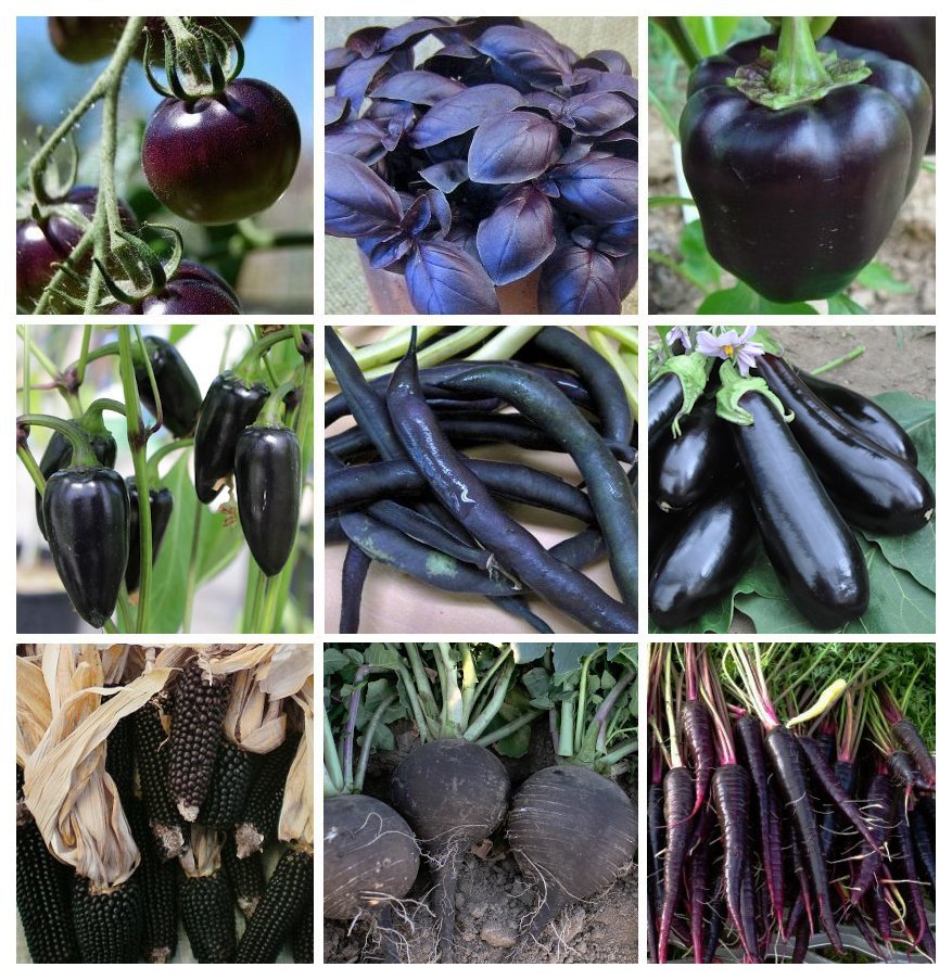 Almost Black Vegetables Heirloom Heritage Seed Collection - 9 Varieties