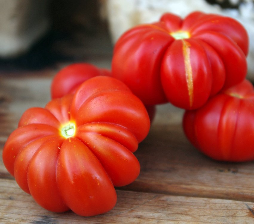 Organic Italian Heirloom Tomato Rosso Sicilian Togetta Solanum ...