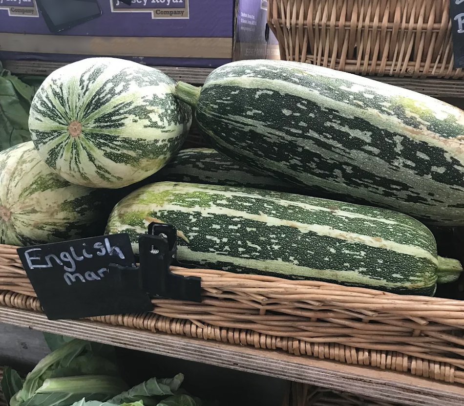 Giant Heirloom English Vegetable Marrow Cucurbita pepo - 10 Seeds