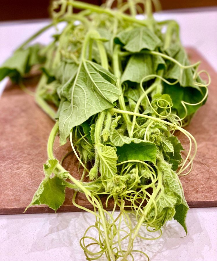 Italian Heirloom Serpentine Snake Squash Cucuzzi Caravazzi - 10 Seeds