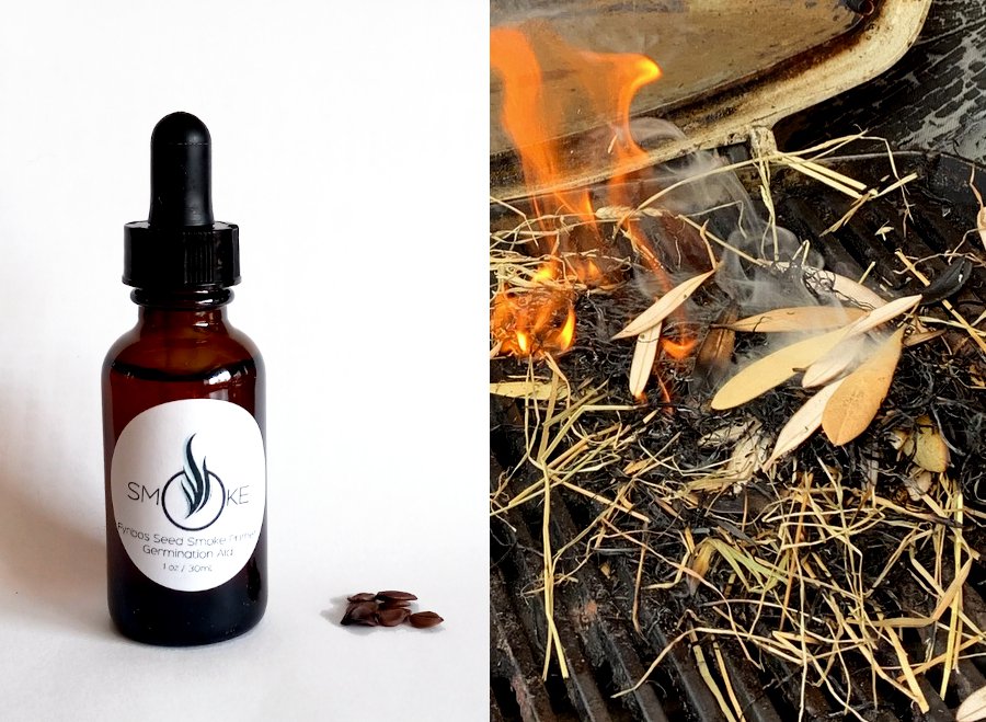 Concentrated Liquid Fynbos Seed Smoke Primer Seed Germination Aid - 30ml