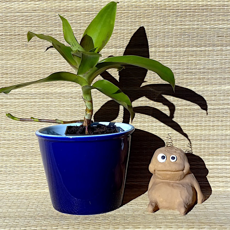 Little Stone Worrywart Figurine Sculpture House Plant Decoration
