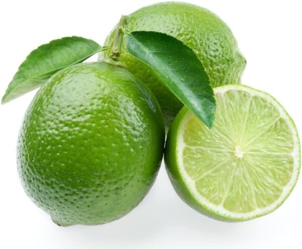 Lime Bearing Fruits Tree Huge Yellows Green Lumpy Lemons Size Oval ...