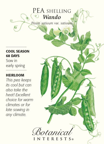 Wando Shelling Pea Seeds 25 Grams Pisum Sativum Fresh Indoor Outdoor Garden