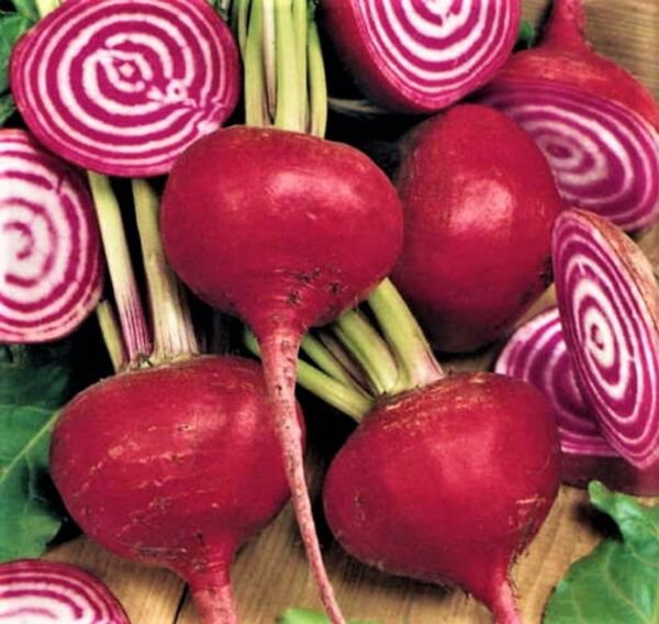 Crosby Egyptian Beet 100 Fresh Seeds Garden