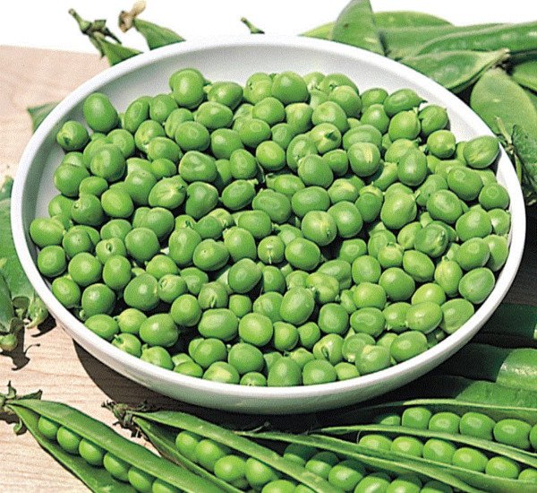 Pea Little Marvel 125 Vegetable Seeds Organic Fresh Garden