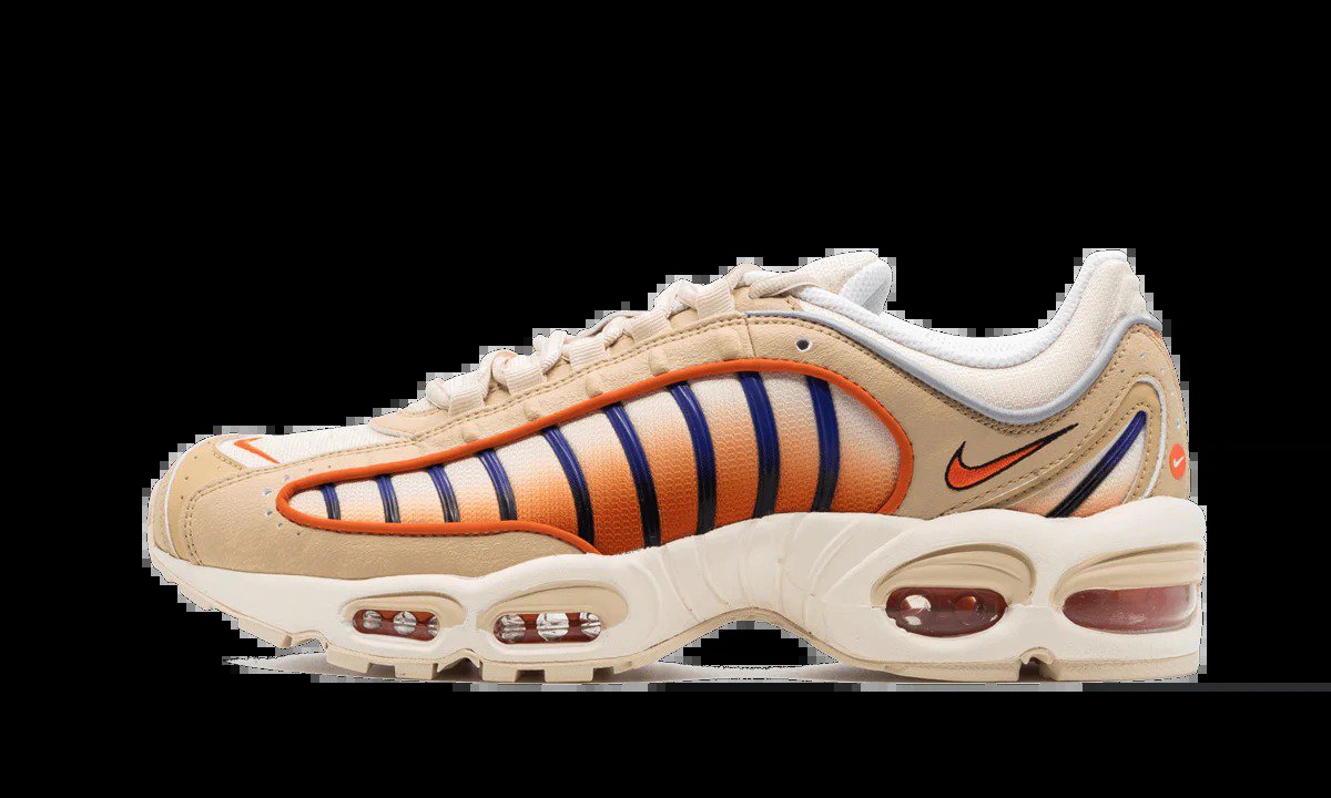 2025 & 2026 Max Tailwind 4