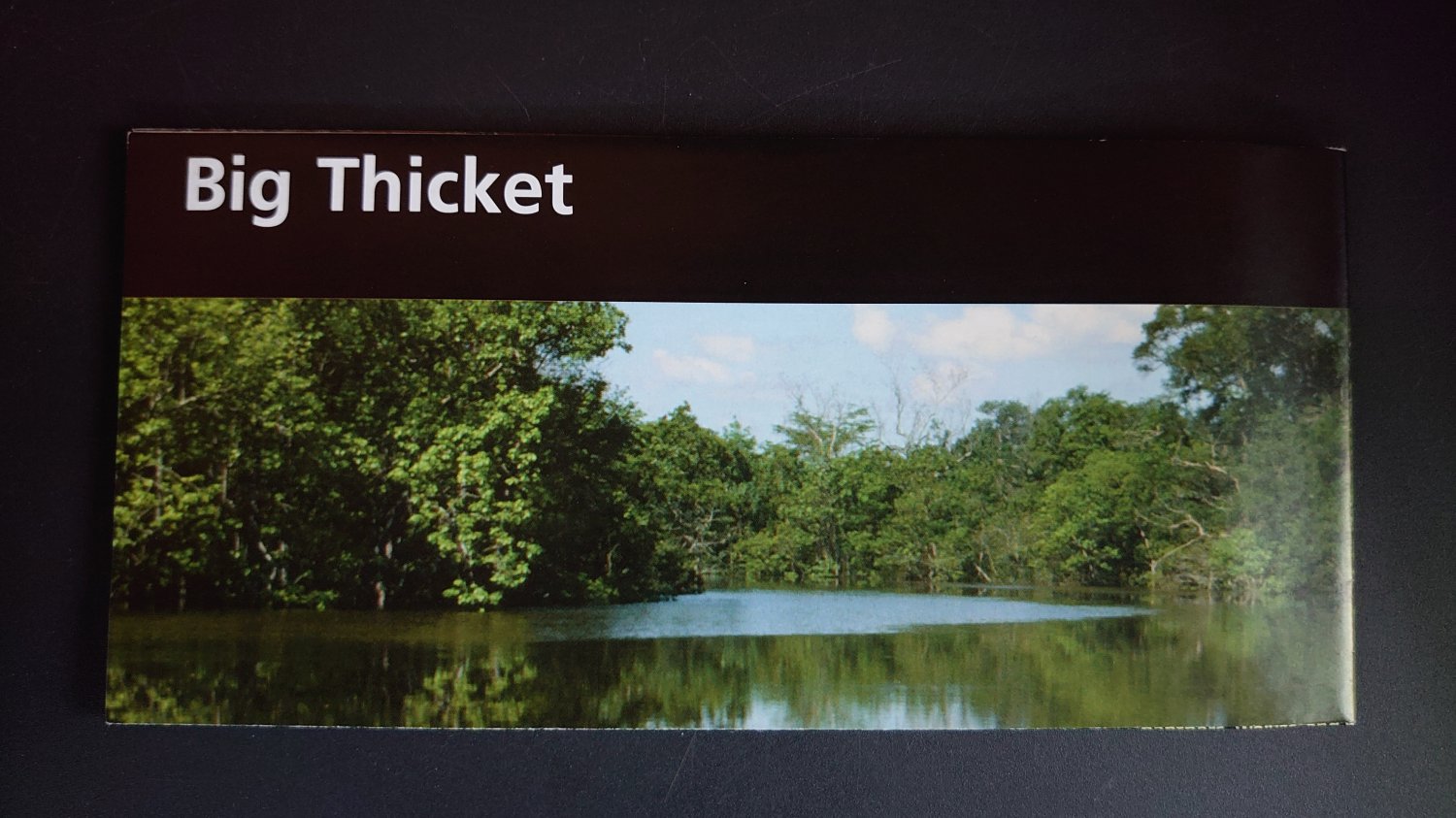 Official NPS Brochure Big Thicket National Preserve Information Map Guide