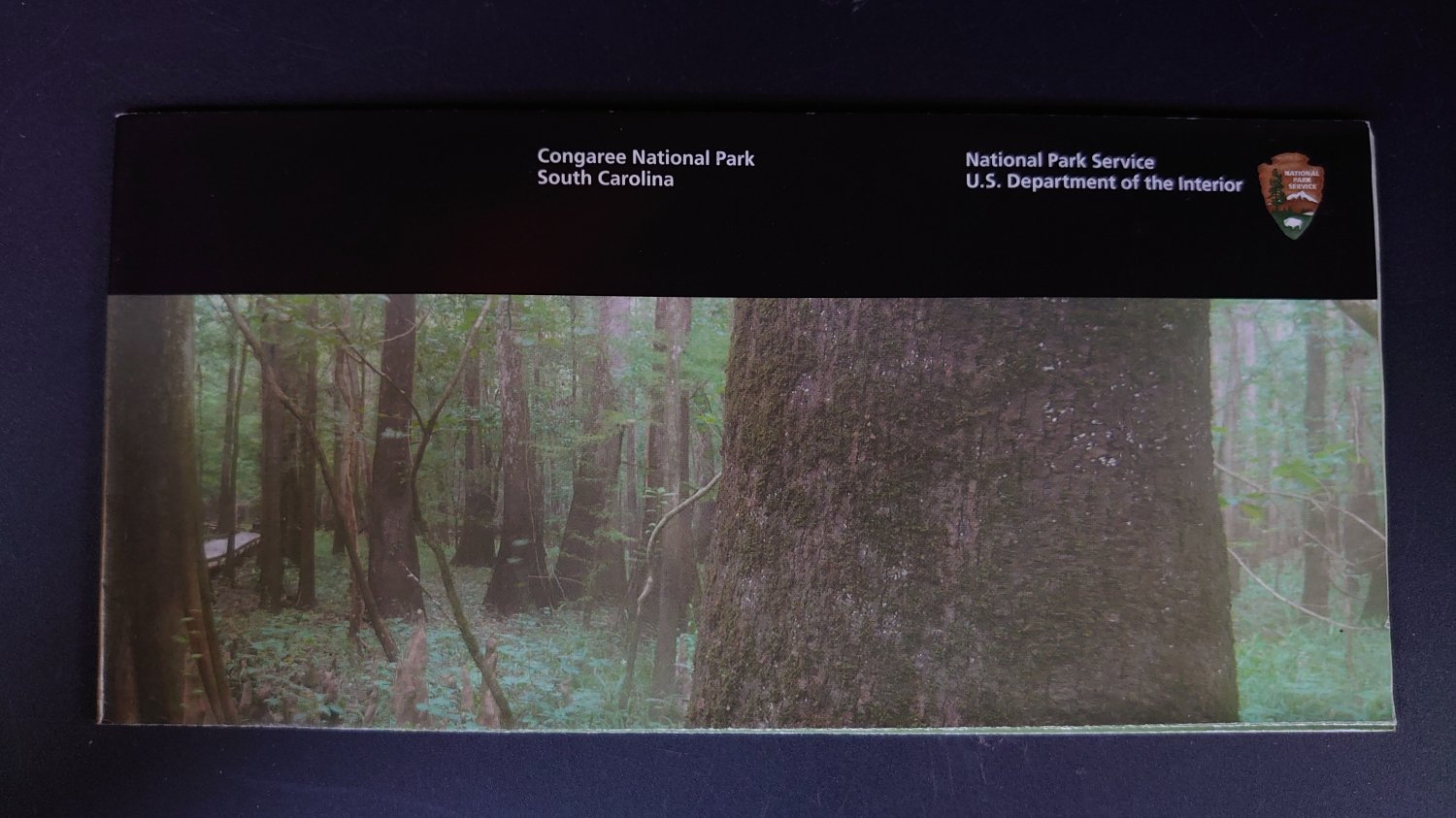 Official NPS Brochure Congaree National Park Information Map Guide