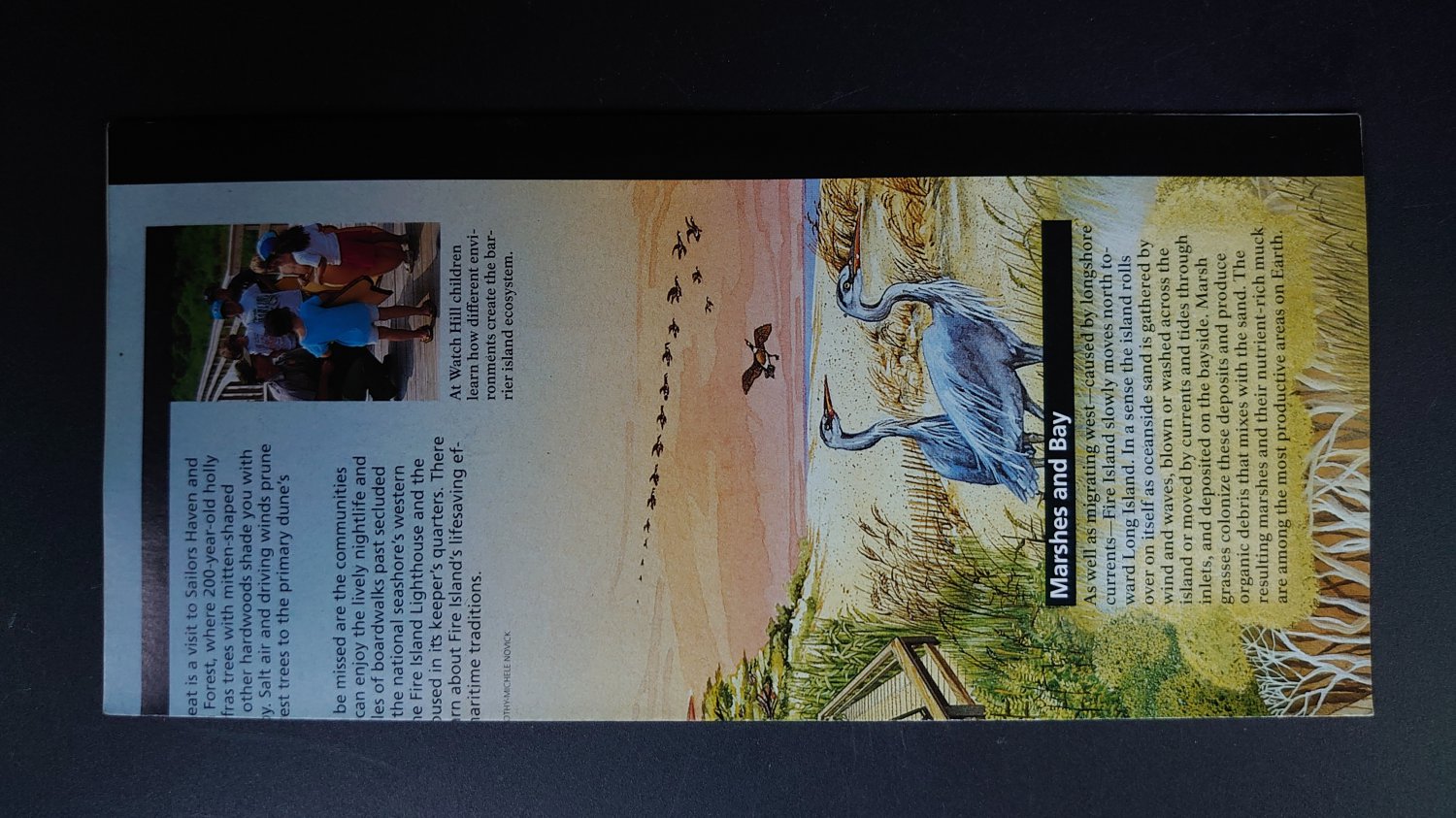 Official NPS Brochure Fire Island National Seashore Information Map Guide