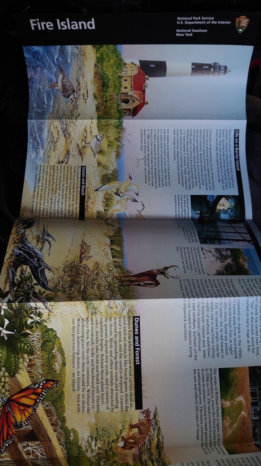 Official NPS Brochure Fire Island National Seashore Information Map Guide