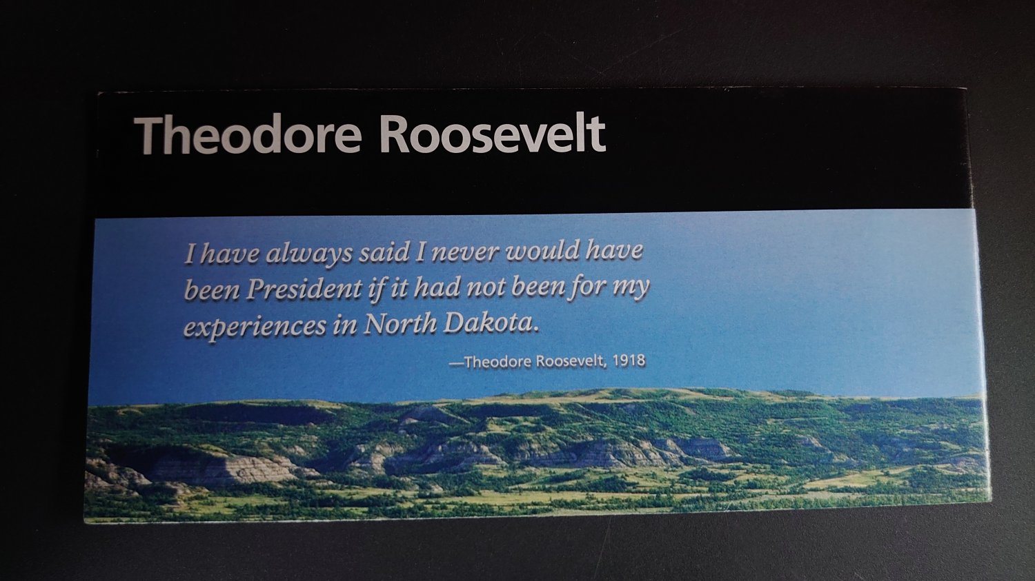 Official NPS Brochure Theodore Roosevelt National Park Info Map Guide