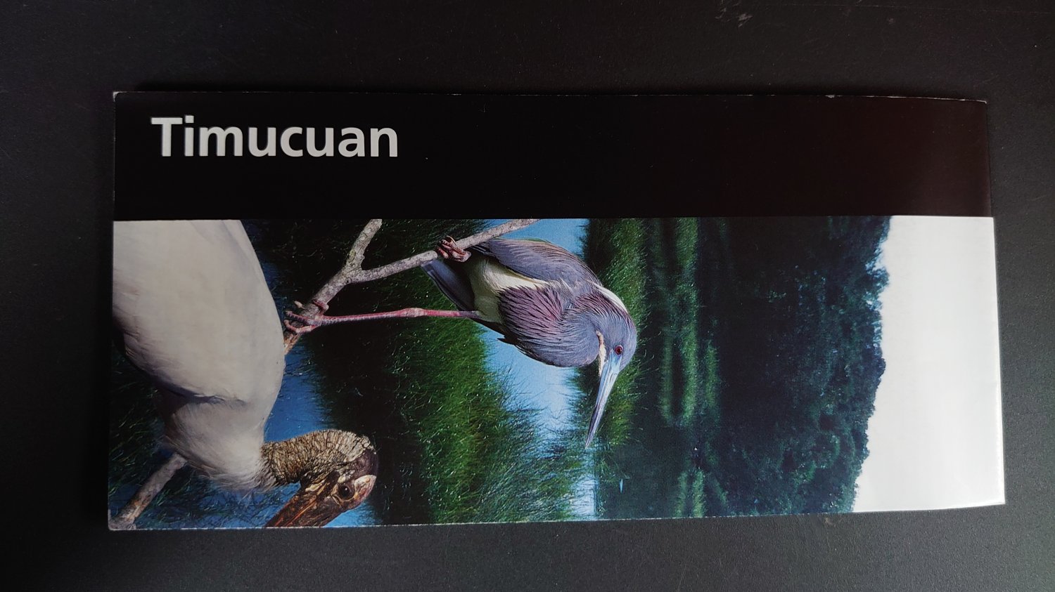 Official NPS Brochure Timucuan Ecological & Historic Preserve Info Map ...