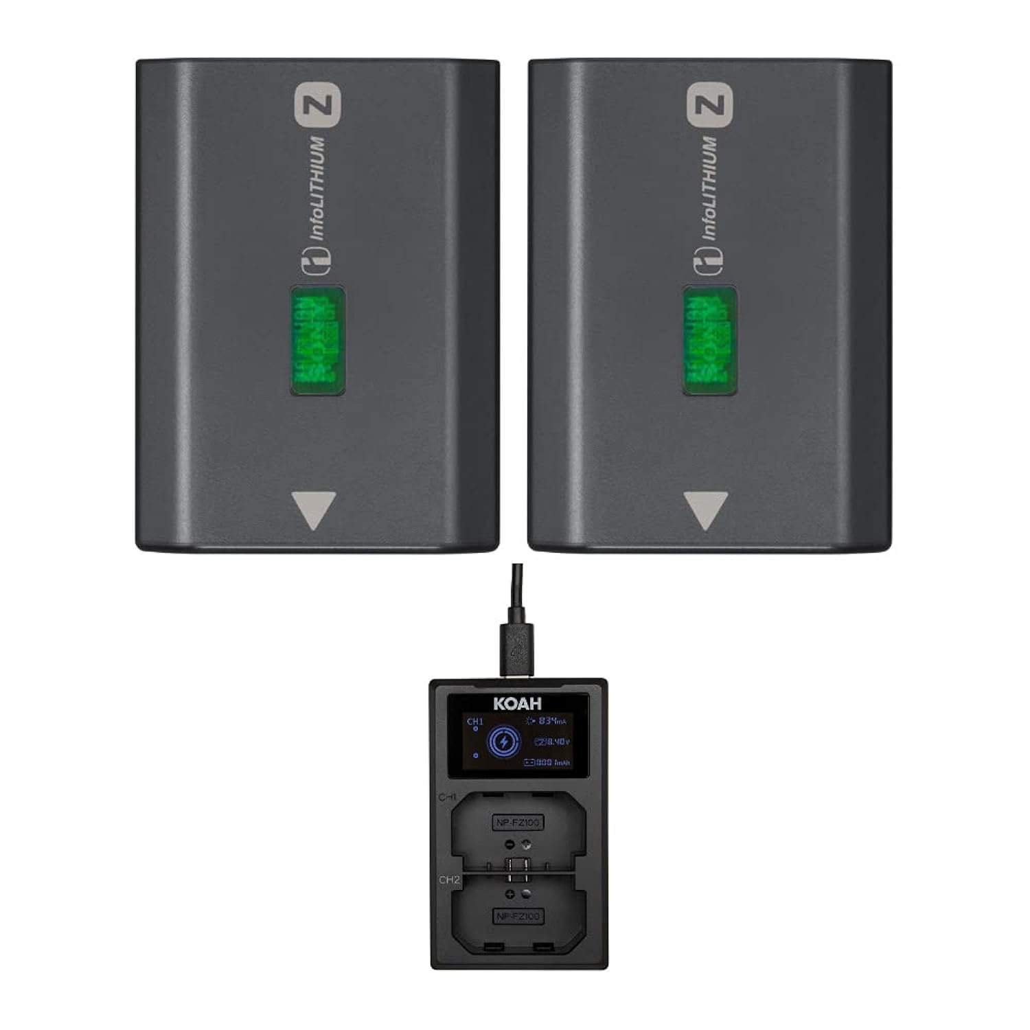 Sony NPFZ100 Z-Series Rechargeable Camera Battery (Two-Pack) with Dual ...