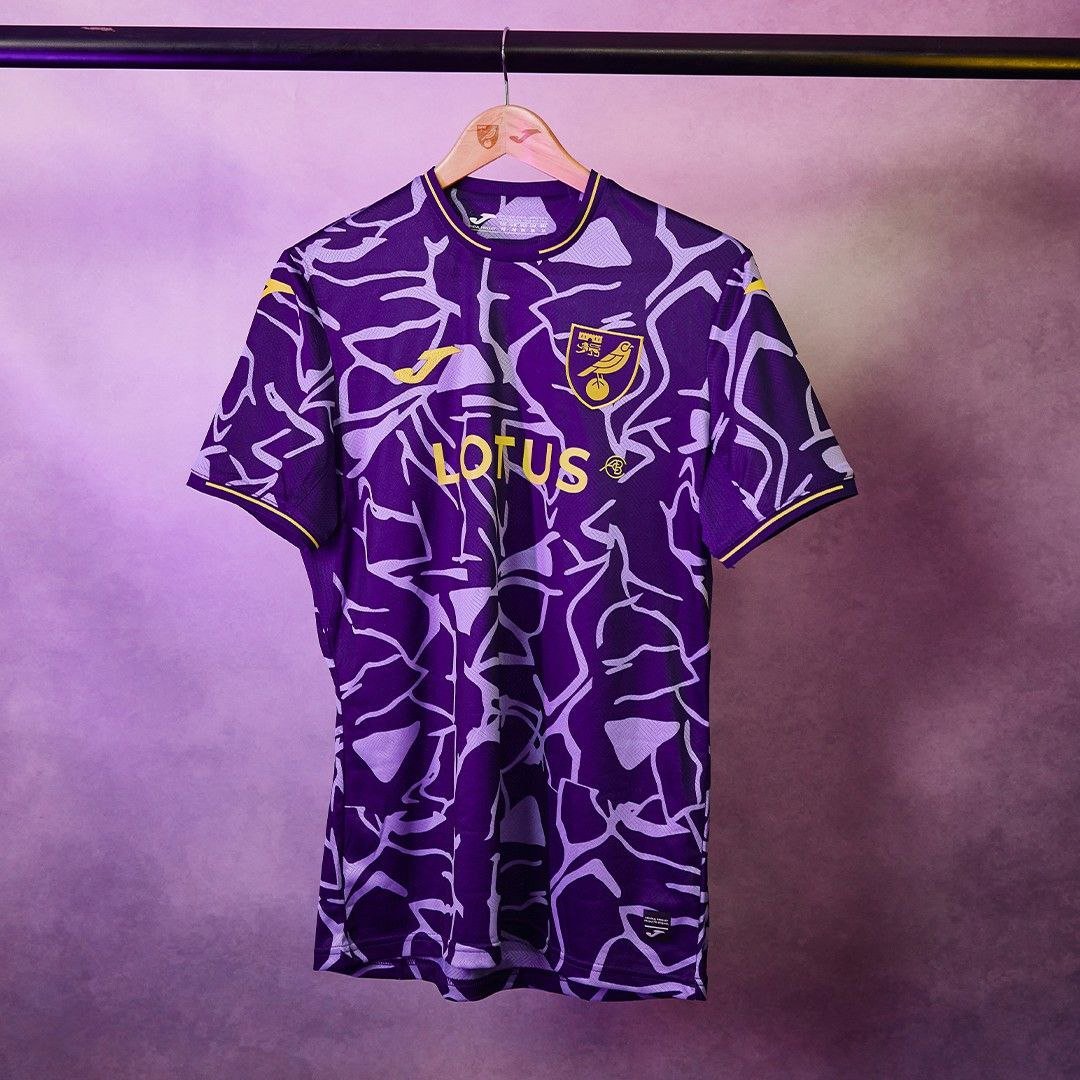 Norwich City 2023 2024 Jersey Away Men's Football Soccer Shirt Jersey 23 24